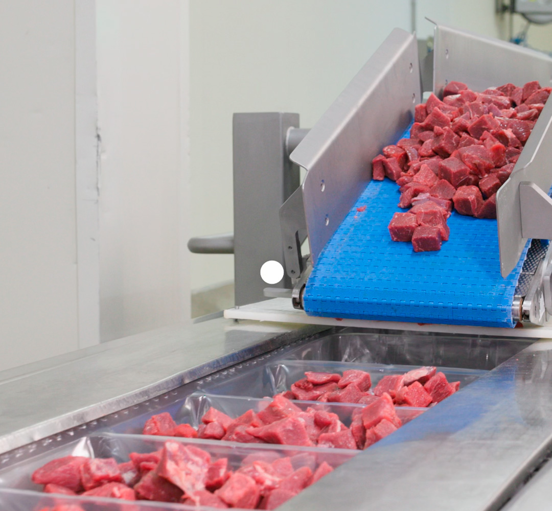 Conversion of a weigh feeder | Höfelmeyer Waagen